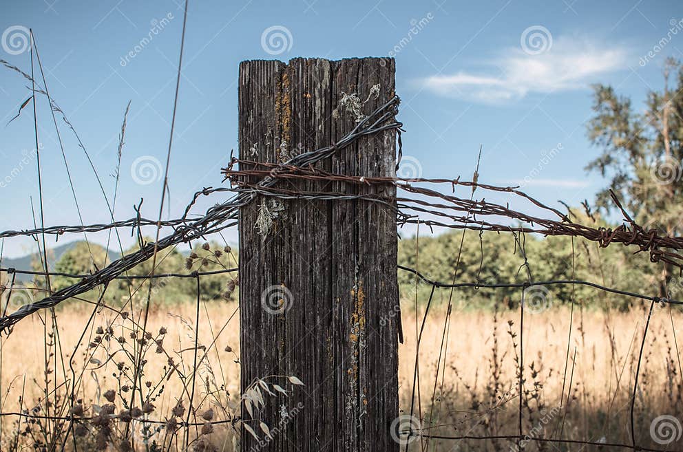 Rustic Fence Post stock image. Image of rustic, sunny - 59796271