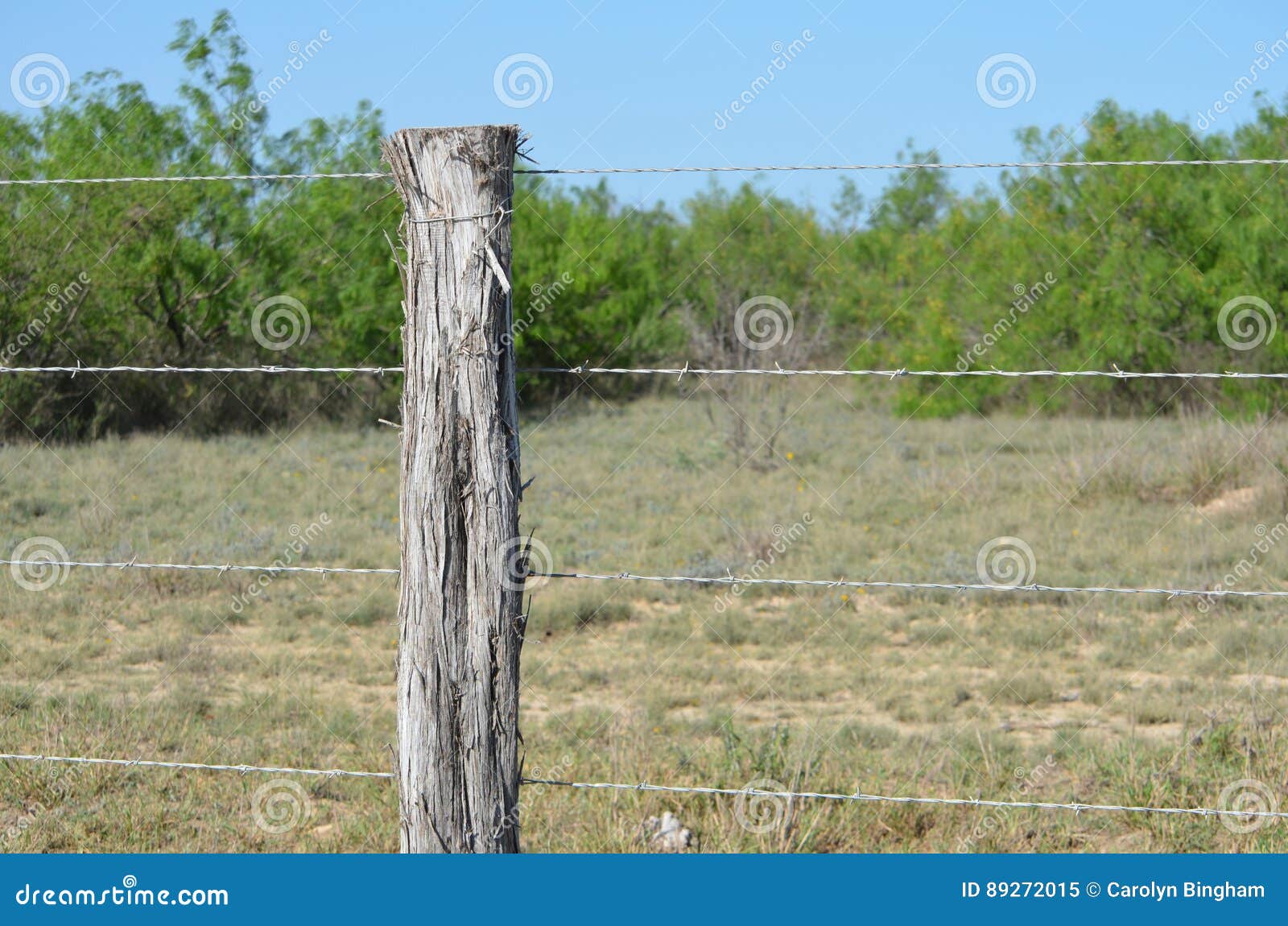 Rustic Fence Post stock image. Image of fence, desert - 89272015