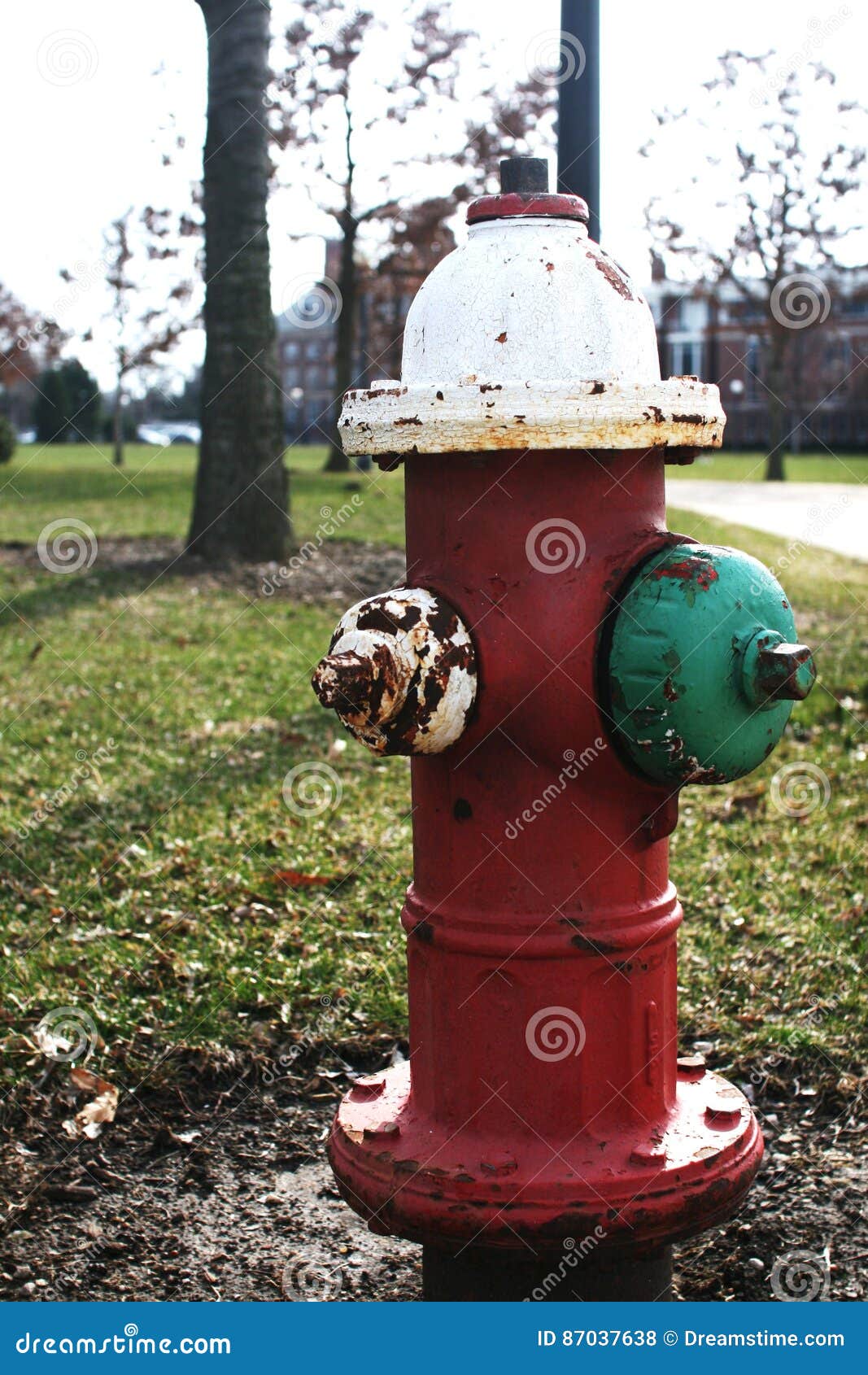 Rustic Fire Hydrant stock photo. Image of hose, water - 87037638