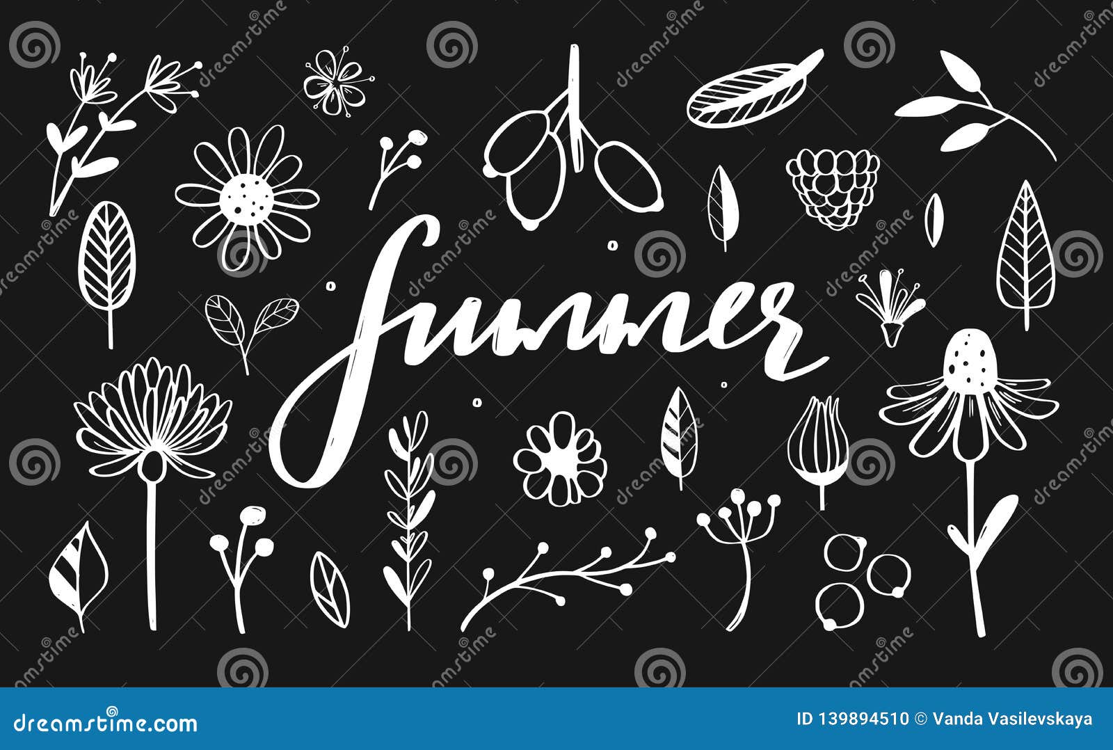 Rustic and Floral Doodle Set. Vector Hand Drawn Botanical Illustration ...