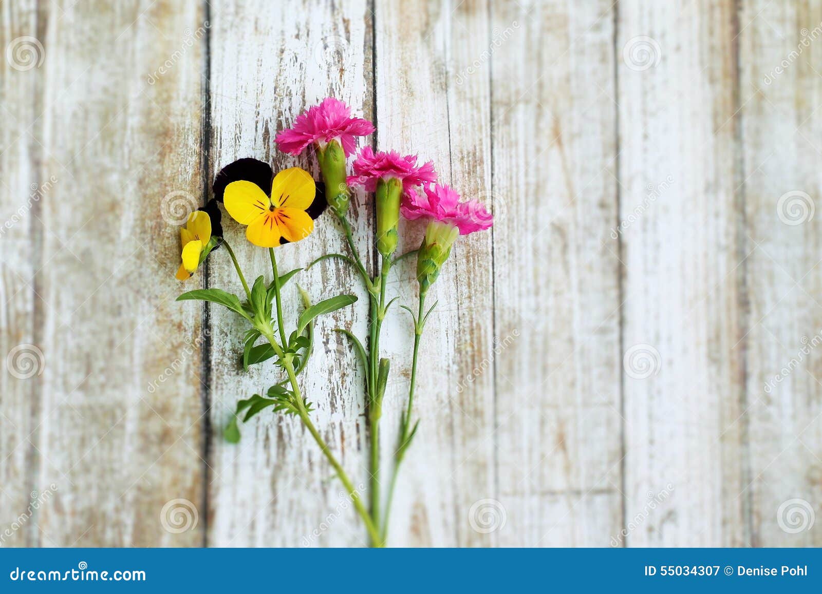 Rustic Flowers stock image. Image of design, rustic, spring - 55034307