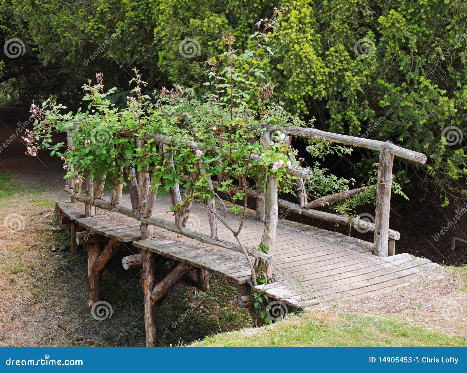 Rustic Footbridge Bridge in a Garden Stock Image - Image of rustic ...