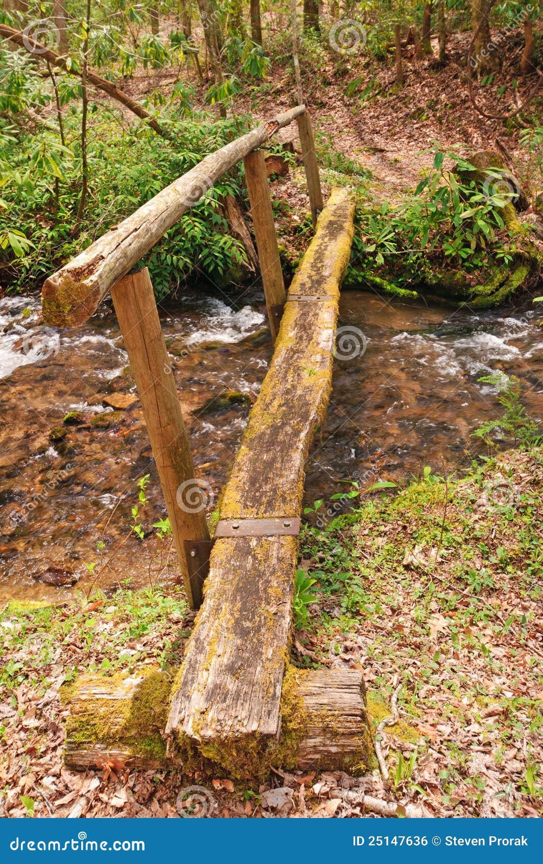 Rustic Footbridge Over a Mountain Stream Stock Photo - Image of smoky ...