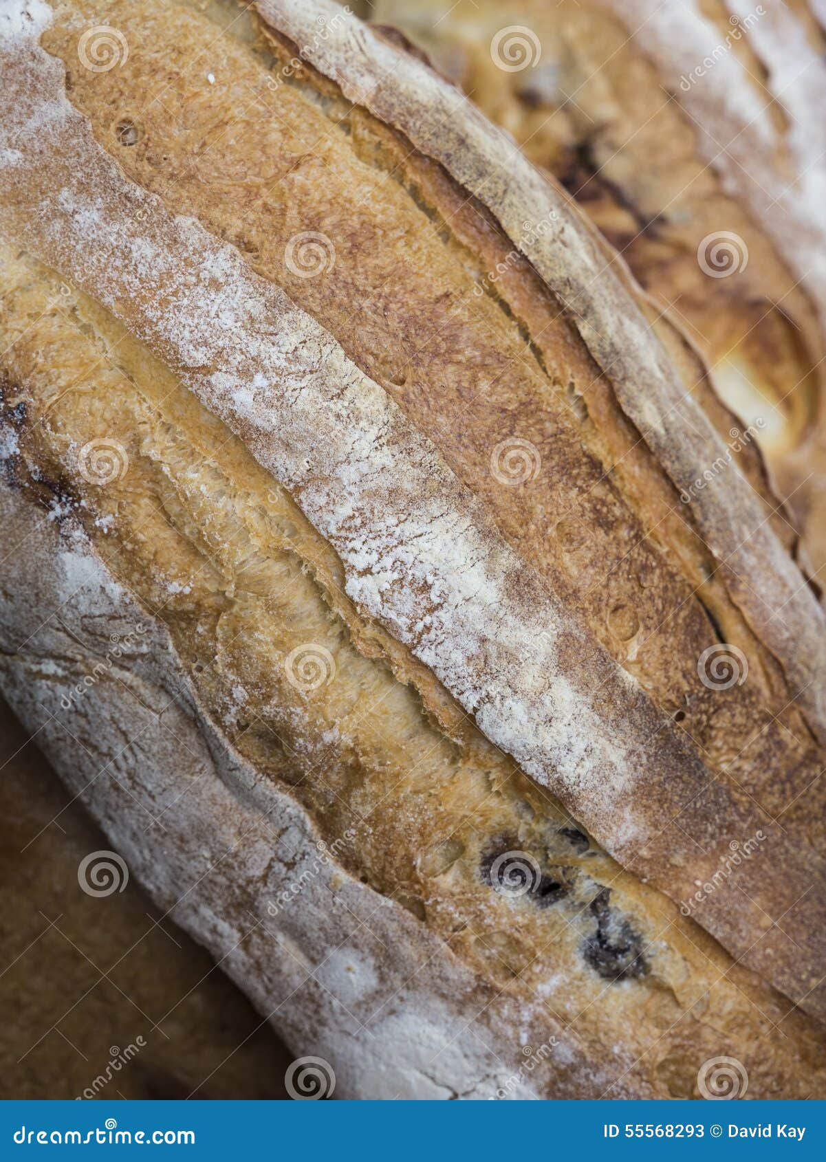 Rustic fresh bake bread stock image. Image of closeup - 55568293