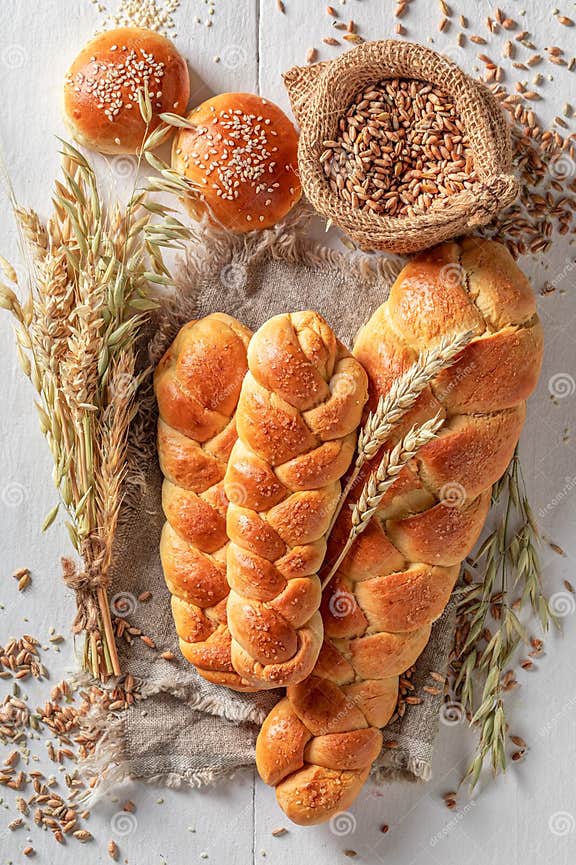 Rustic and Fresh Loaf of Breads Freshly Baked Stock Image - Image of ...