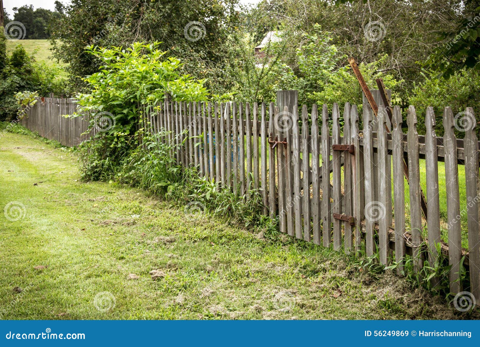 Rustic Garden Fence stock image. Image of country, trees - 56249869