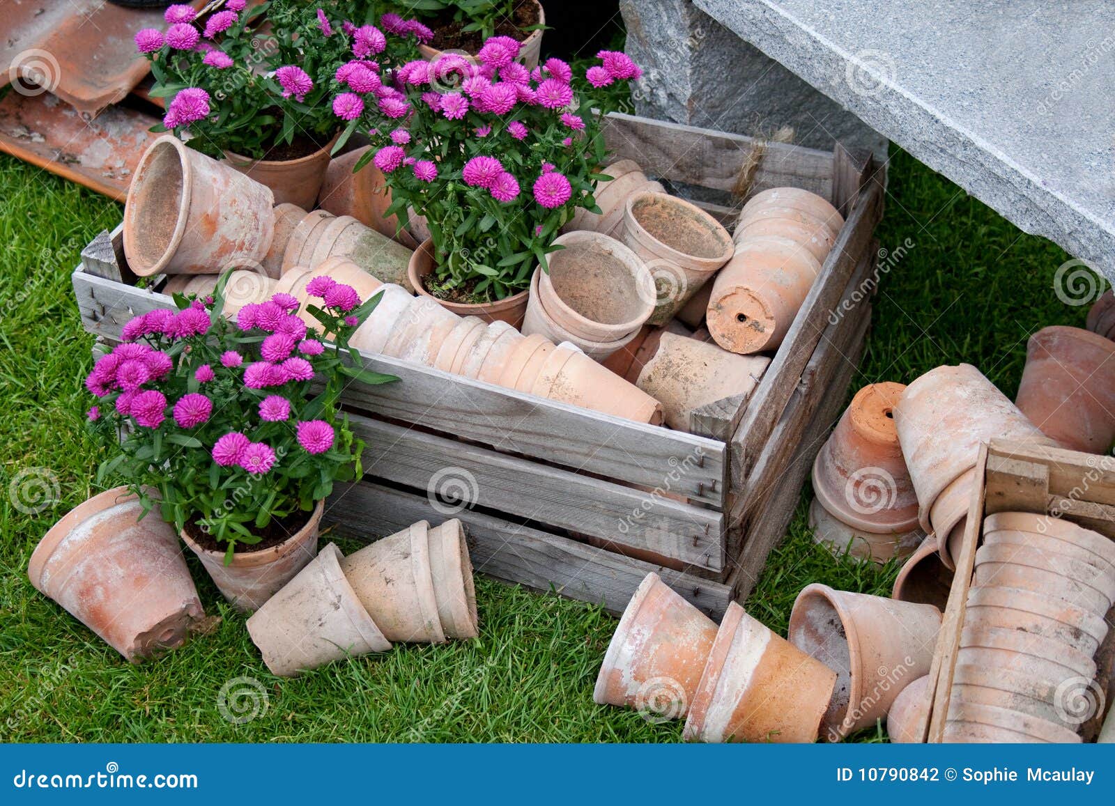 Rustic Garden still life stock photo. Image of plants - 10790842