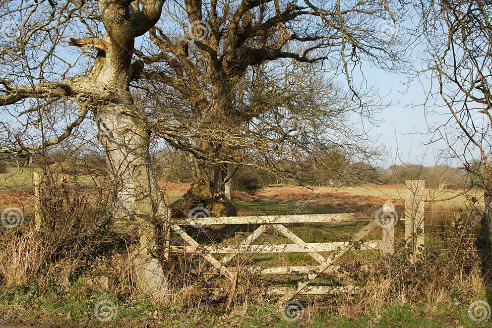 Rustic gate. stock image. Image of posts, grass, farmland - 23712145