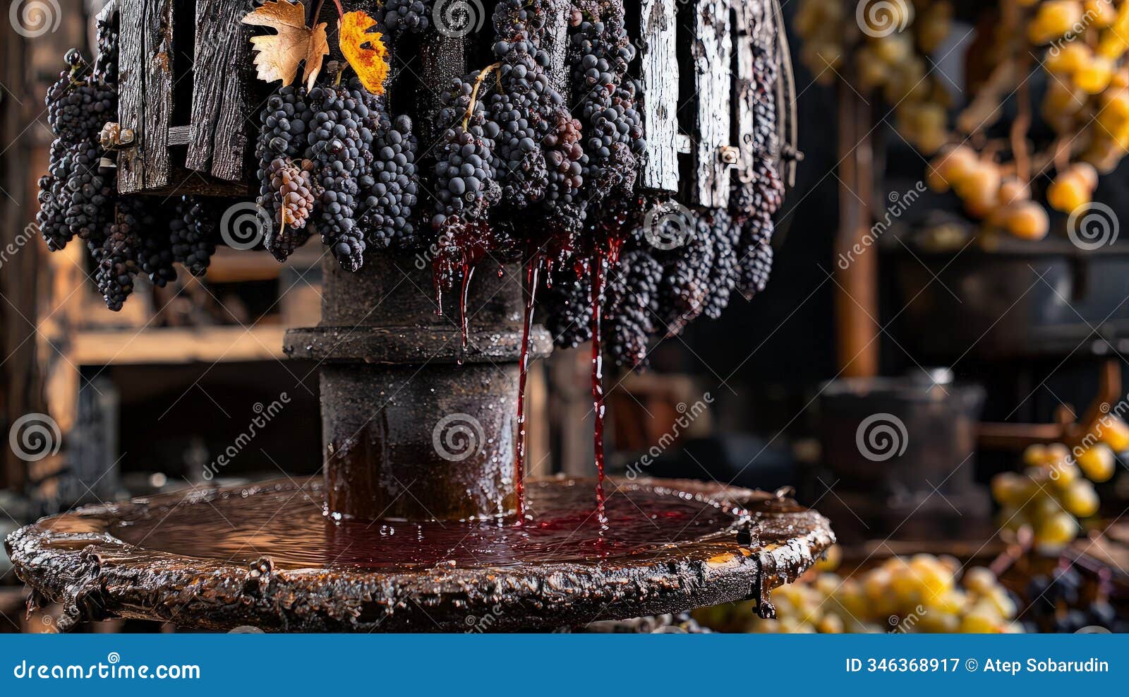 Rustic Grape Press with Dark Grapes Dripping Juice Stock Image - Image ...