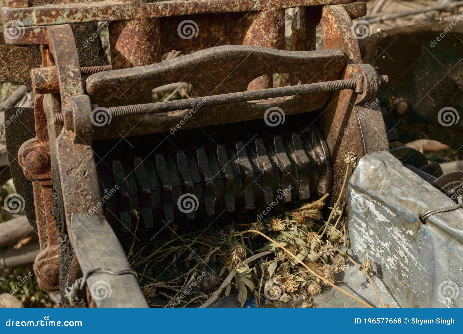 The Rustic Grass Chopper Machine for Chopping Grass for Indian Cow ...