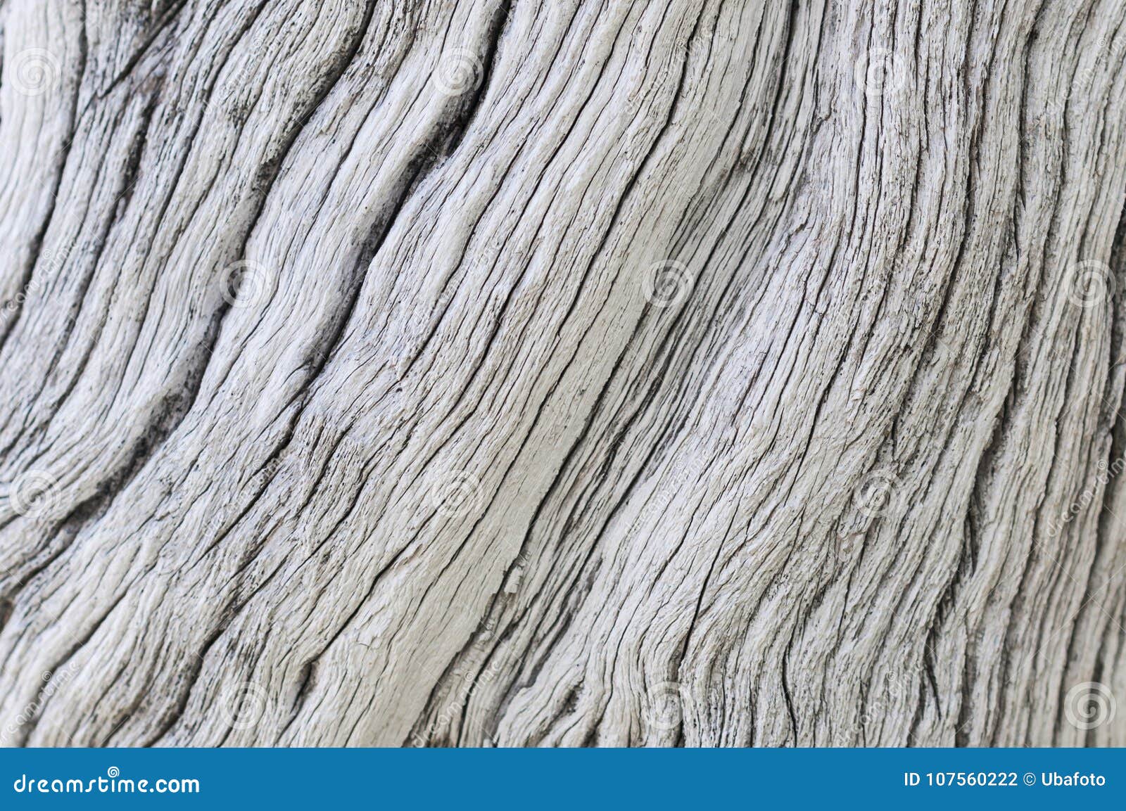 Rustic gray wood texture stock photo. Image of pattern - 107560222