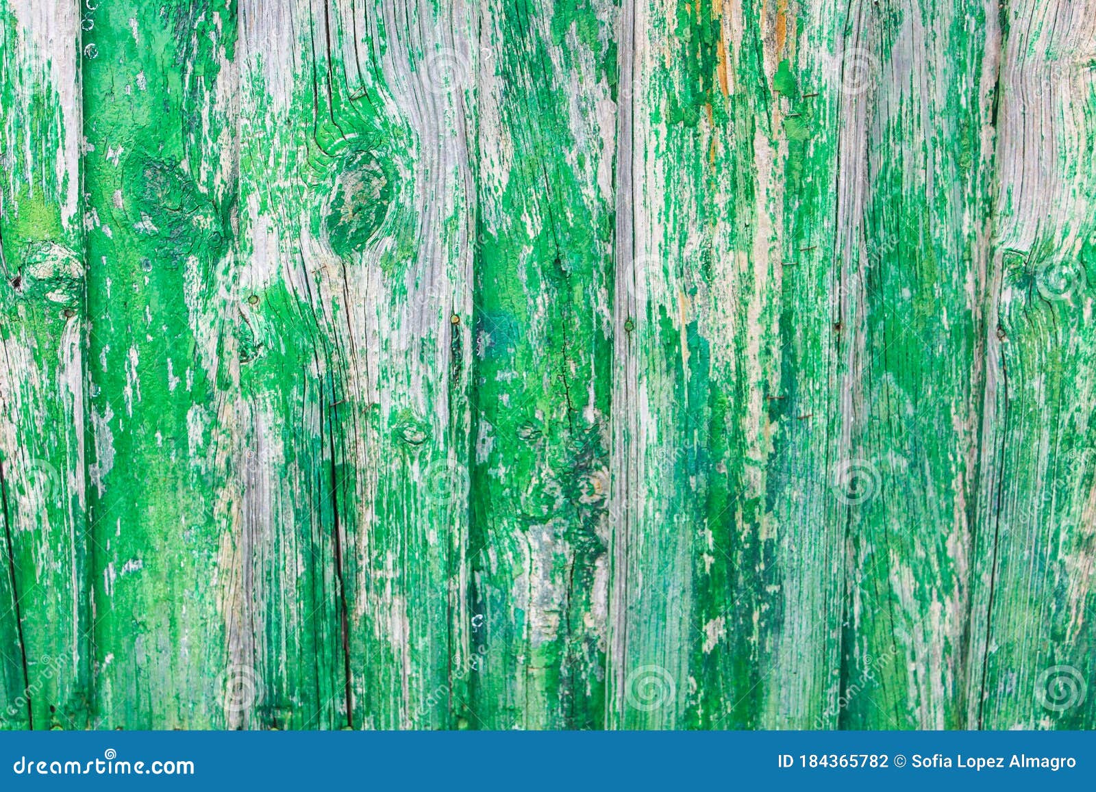 Rustic Green Door Architecture Rusty Desin Style Paint Stock Photo ...