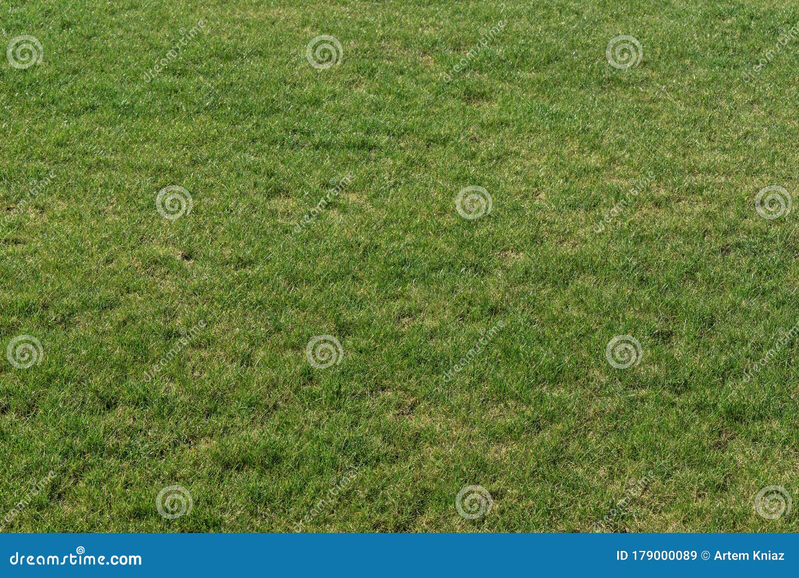 Rustic Green Grass Field Ground Surface Yard Outdoor Space without ...