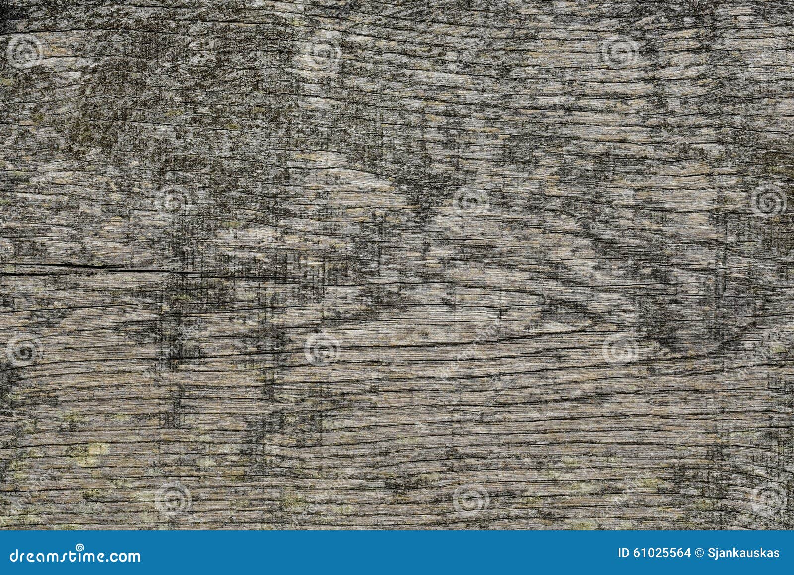 Rustic Grunge Seamless Wooden Background Horizontal Stock Photo - Image ...