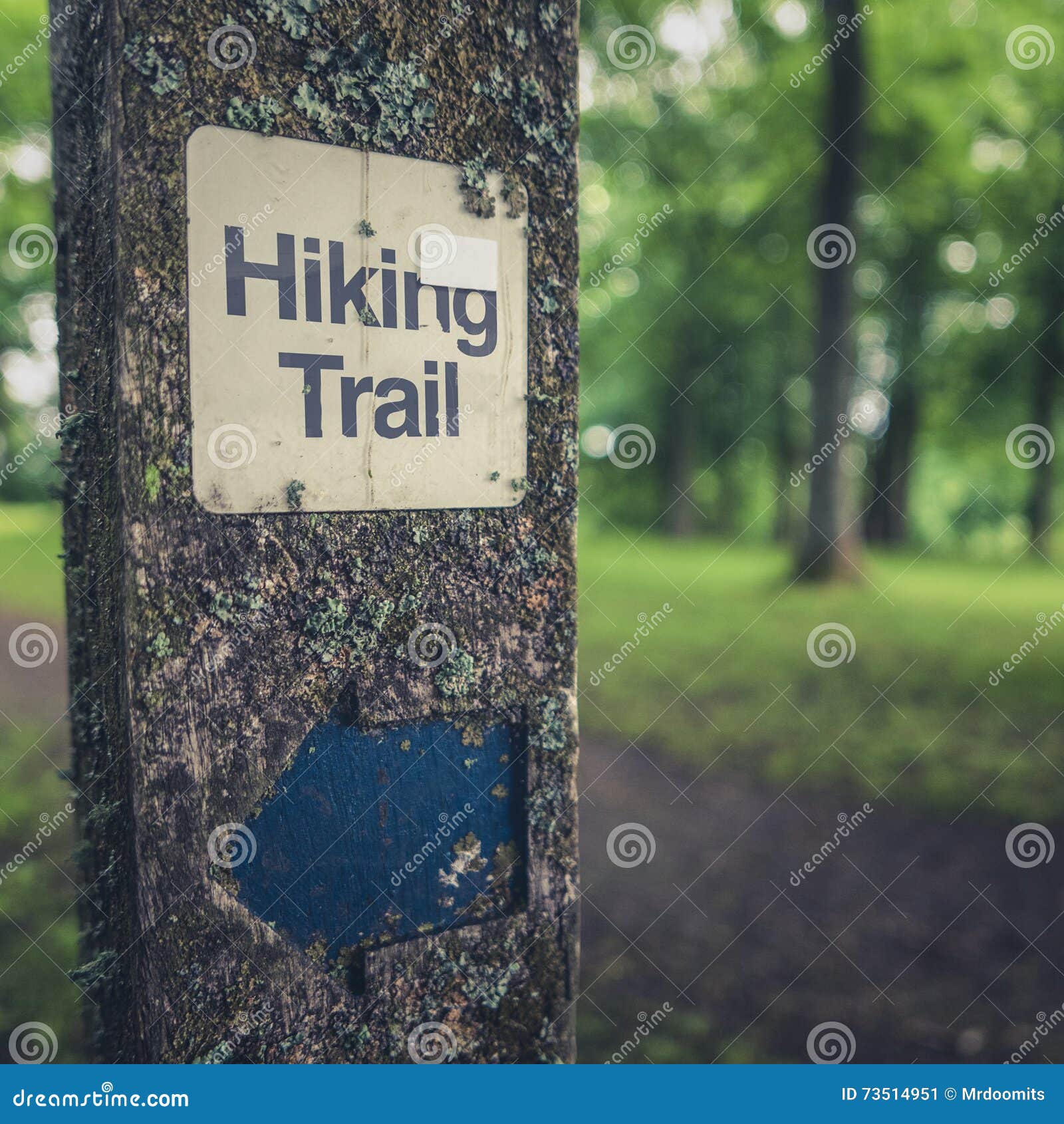 Rustic Hiking Trail Sign stock image. Image of filter - 73514951