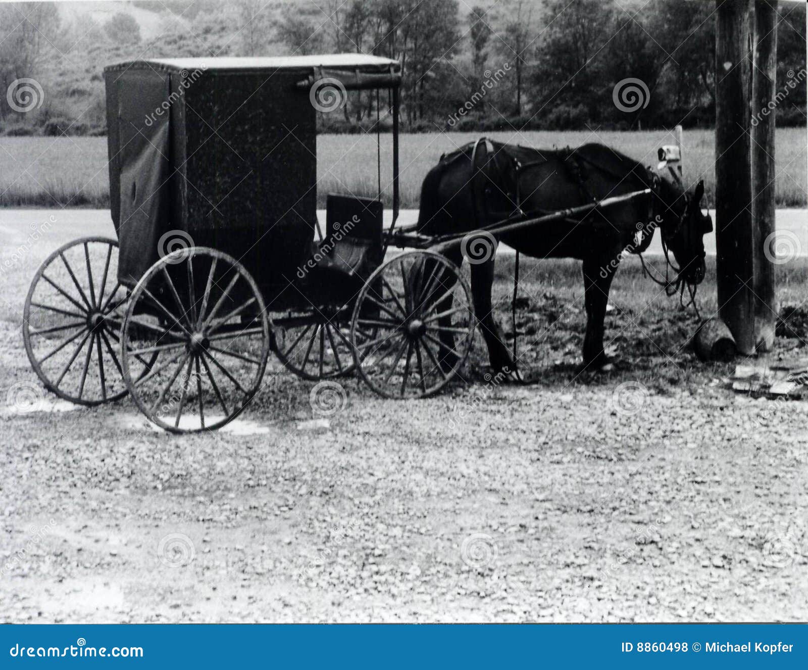 Rustic Horse and Carriage stock photo. Image of carriage - 8860498