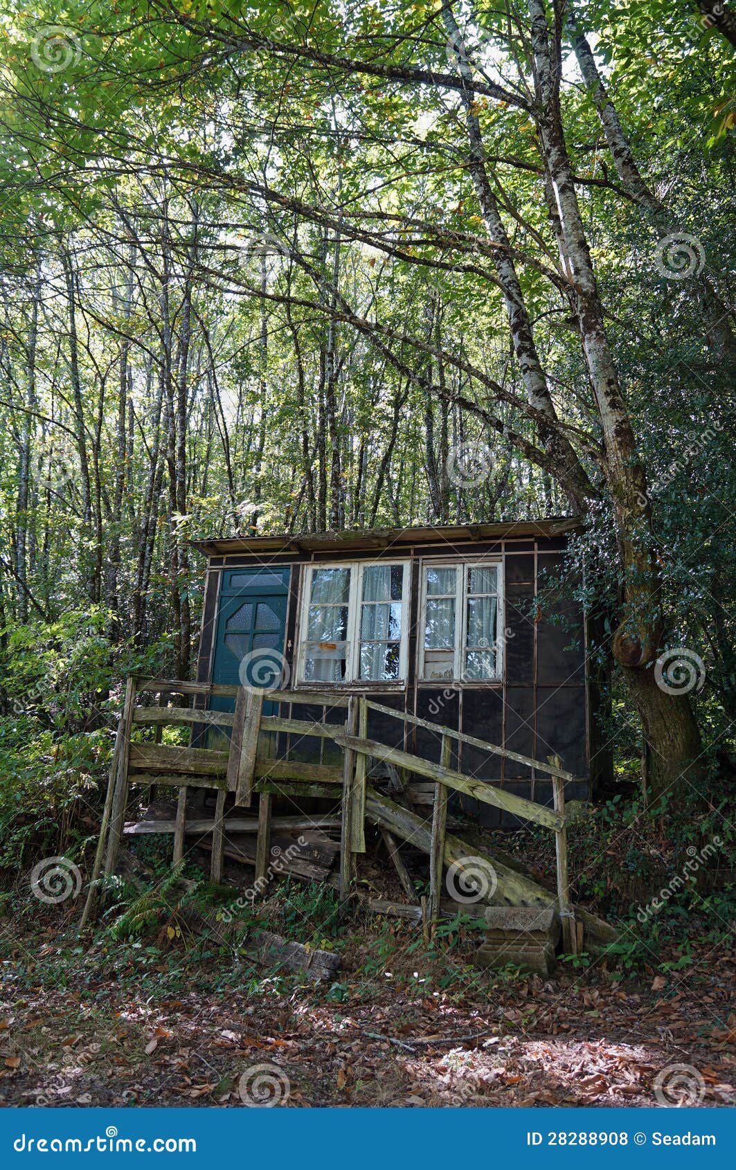Rustic hut in the forest stock photo. Image of architecture - 28288908