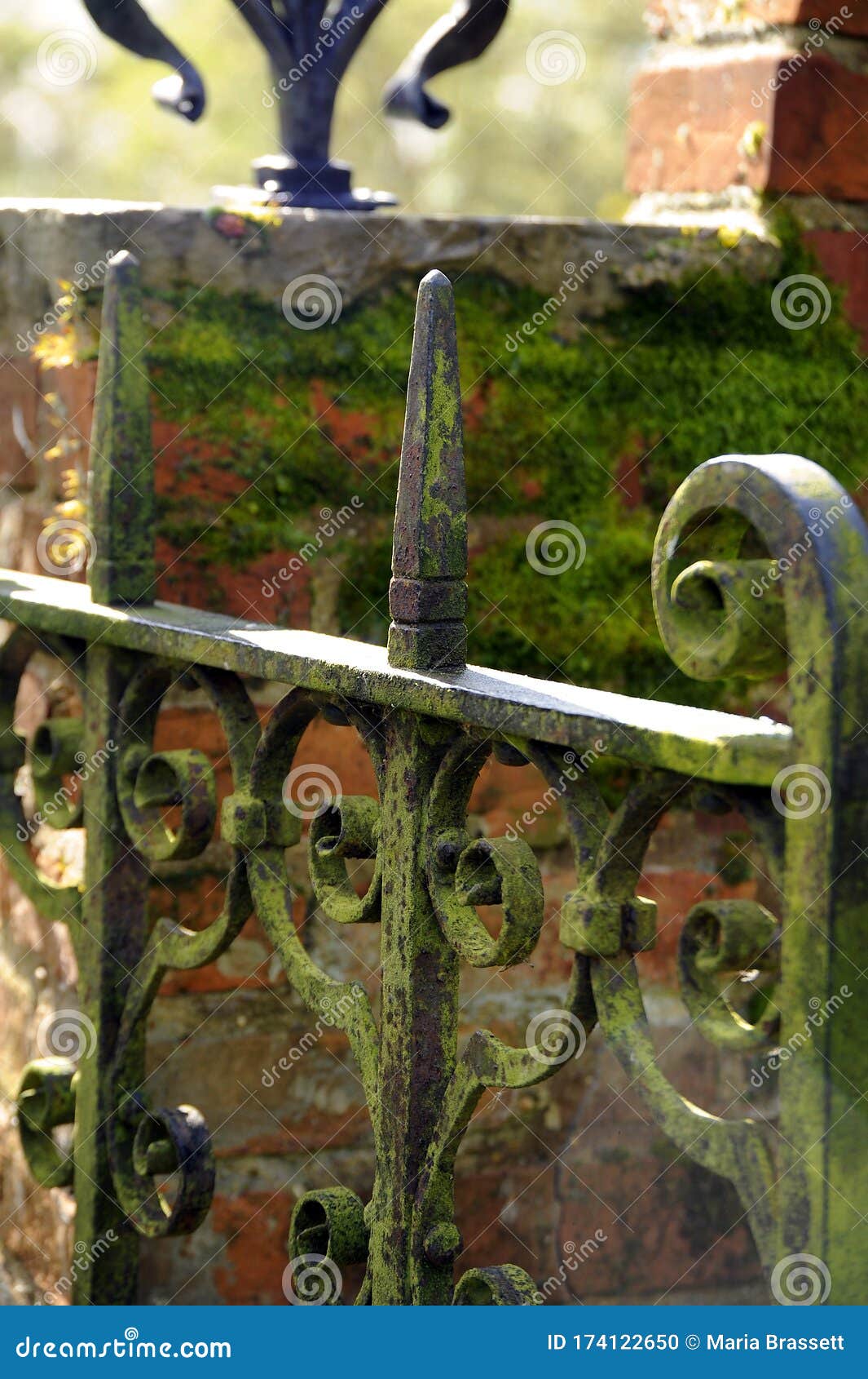 Rustic Iron Gate in Front of a Mossy Brick Wall. Stock Photo - Image of ...