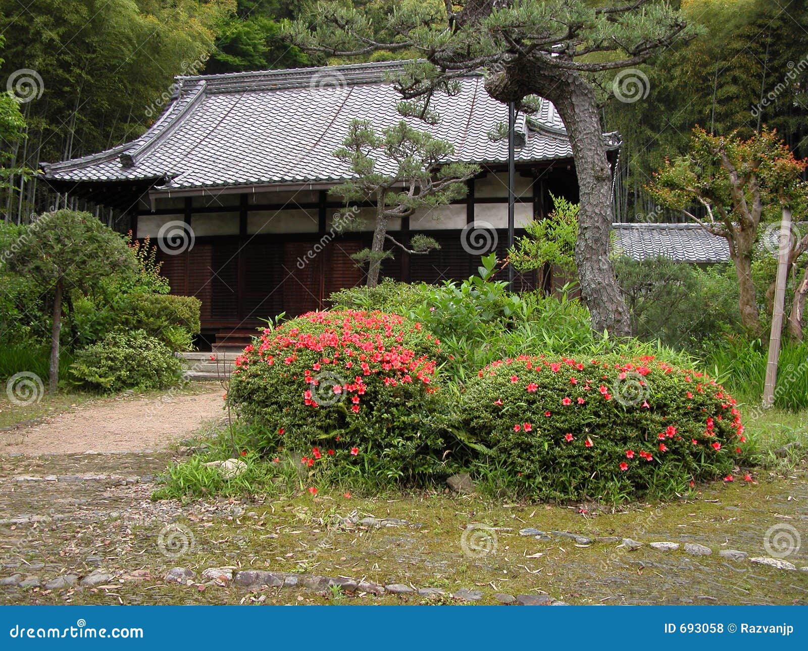 Rustic Japanese yard stock photo. Image of japanese, brown - 693058