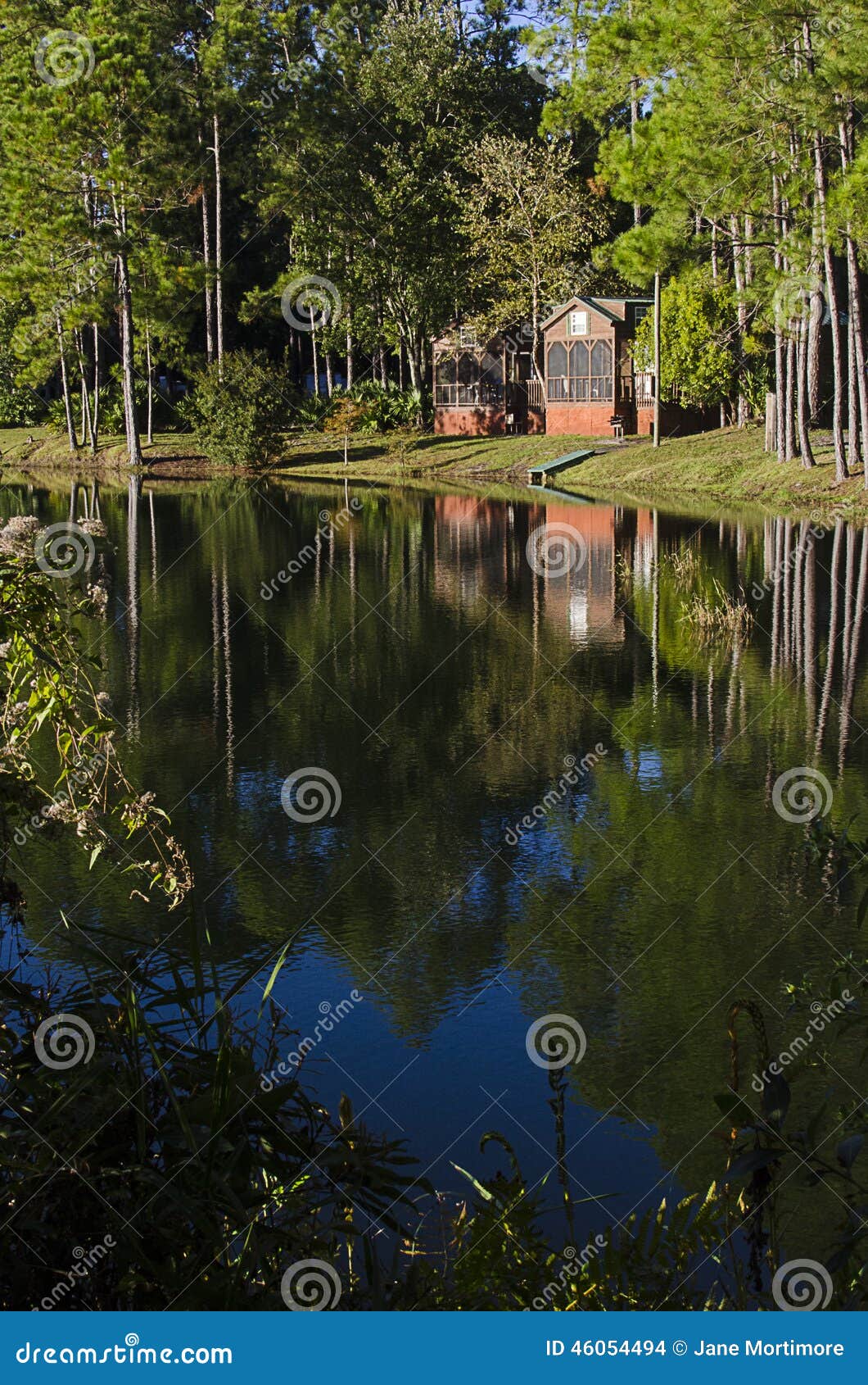 Rustic Lake Cabins from Cove Stock Photo - Image of north, cabins: 46054494