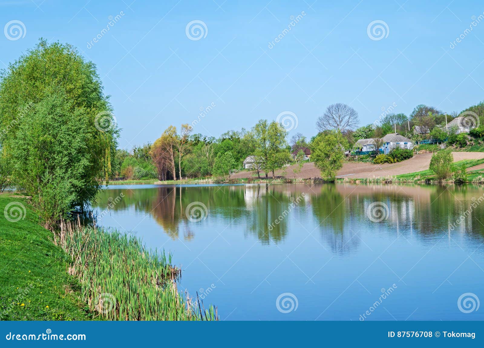 Rustic lake stock photo. Image of green, nature, farm - 87576708