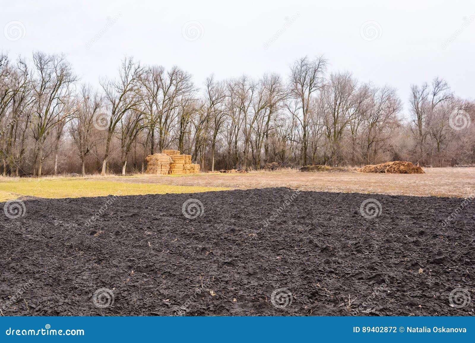 Rustic Landscape with Field and Trees in Fall Stock Photo - Image of ...