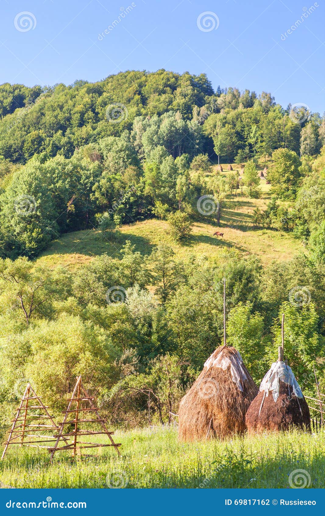 Rustic Landscape with Haystack Stock Photo - Image of outdoor ...