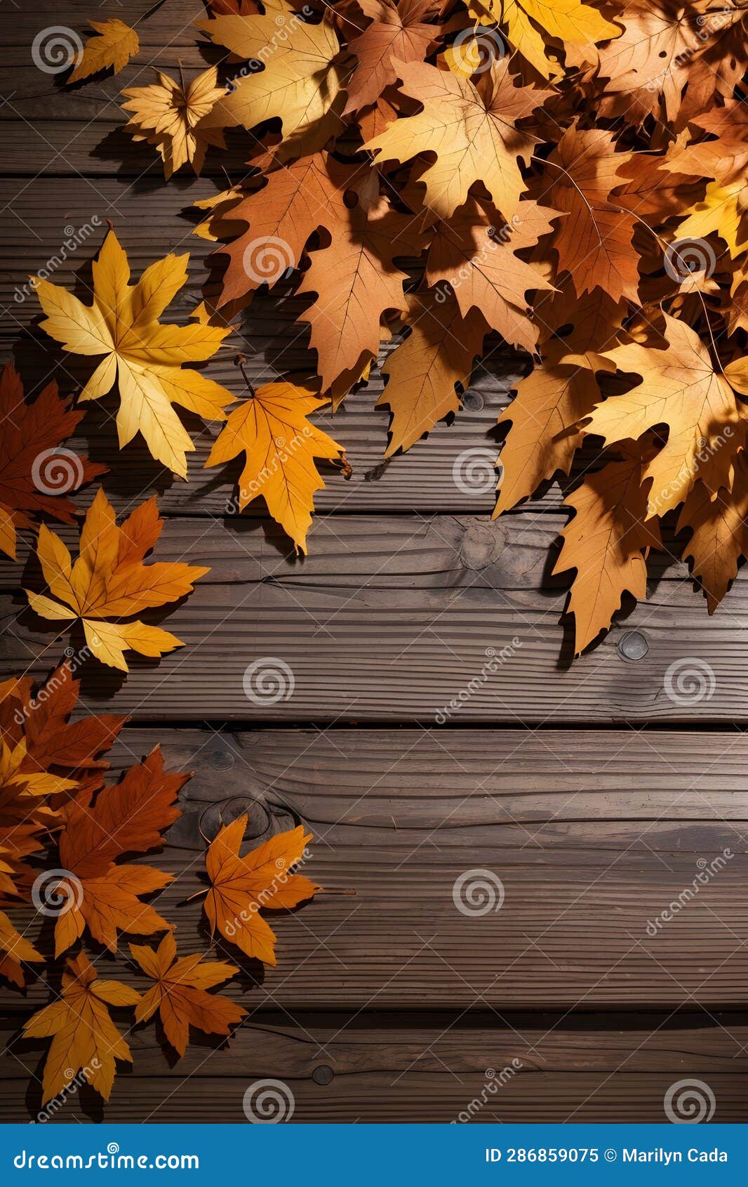Rustic Leaf Borders Fall-inspired Frame Elements Leafy Border Graphics ...