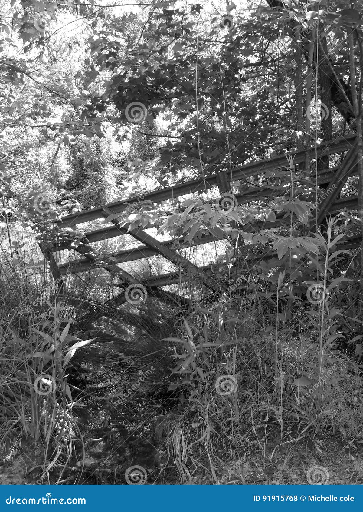 Rustic life stock photo. Image of rustic, country, life - 91915768