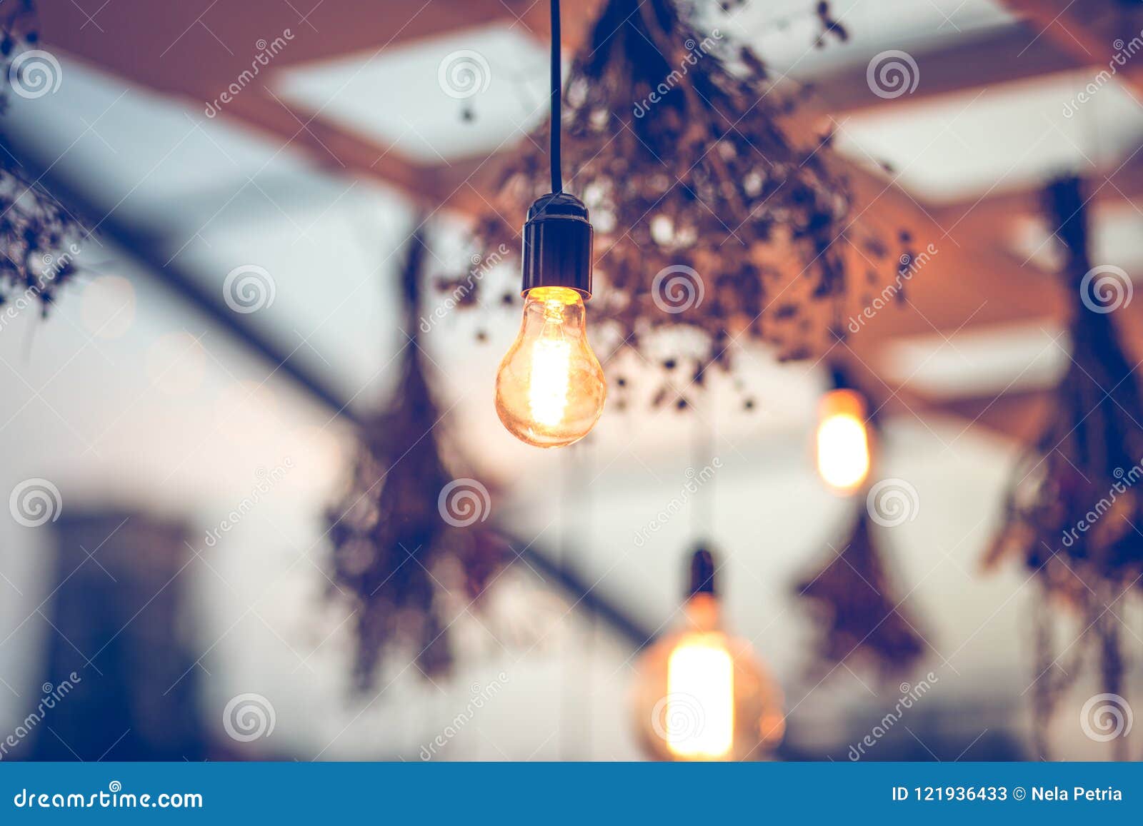Rustic Light Bulb Garden Lights Stock Image - Image of background ...