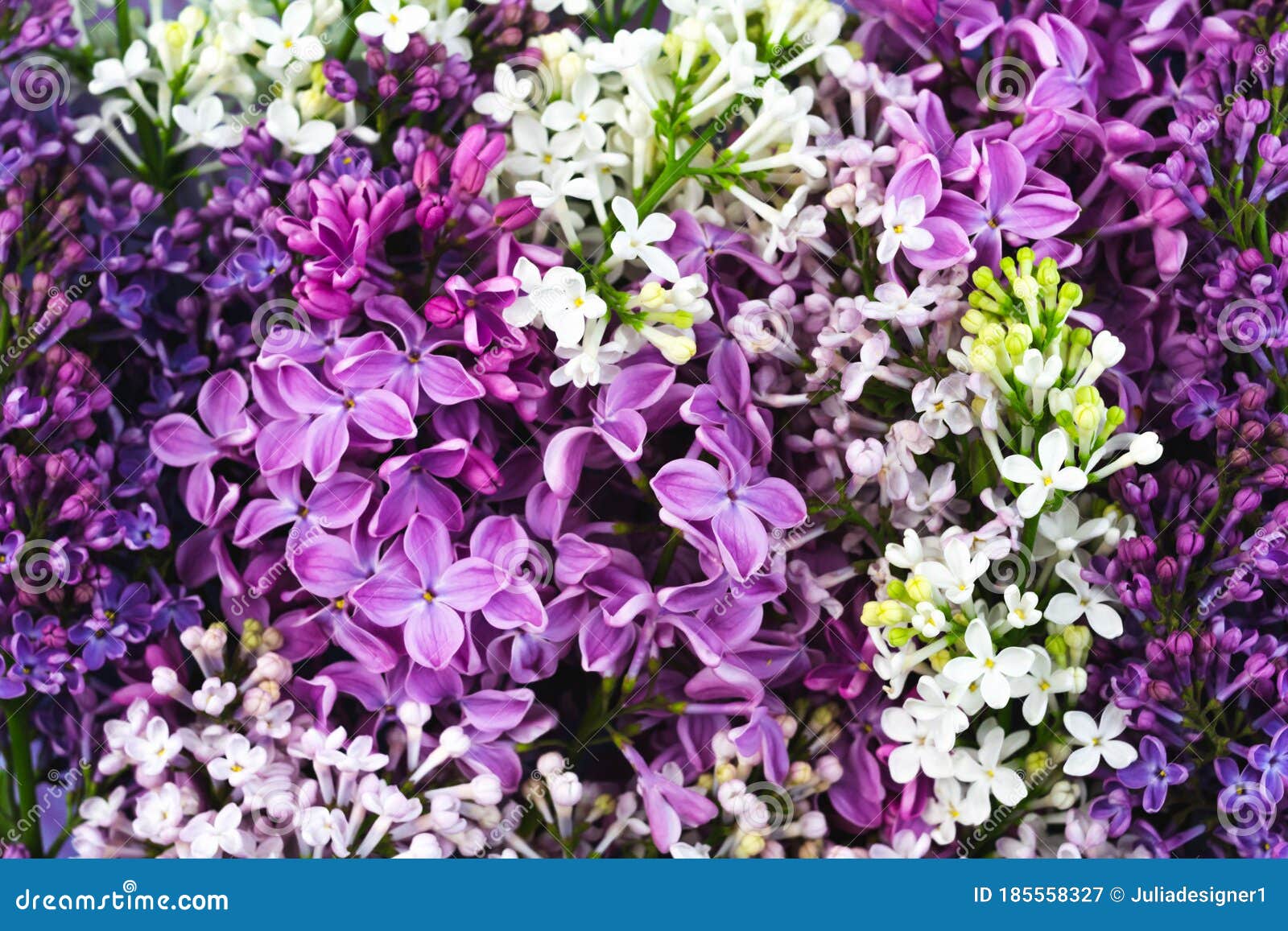 Rustic Lilac Flower Pattern Background for Decorative Design. Beautiful ...