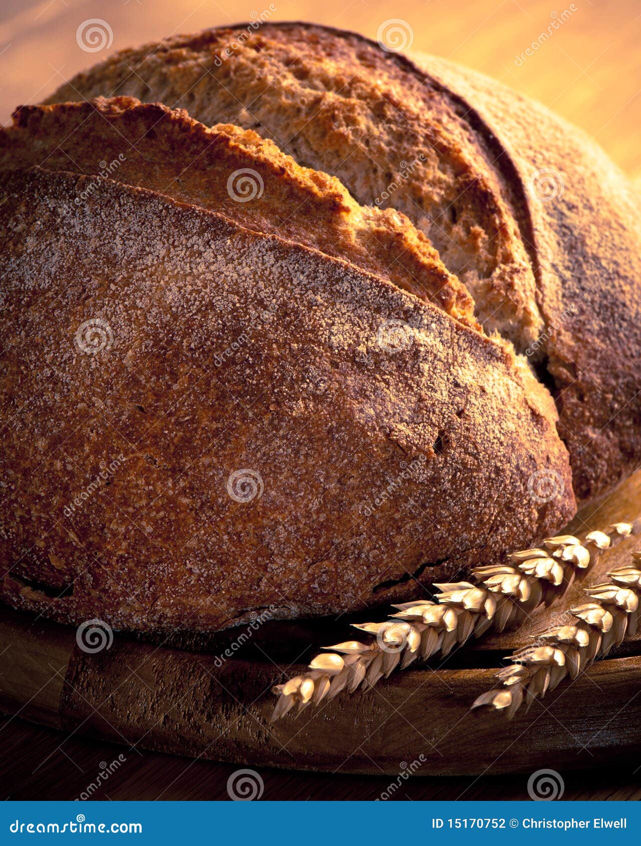 Rustic Loaf stock photo. Image of loaf, freshly, crusty - 15170752