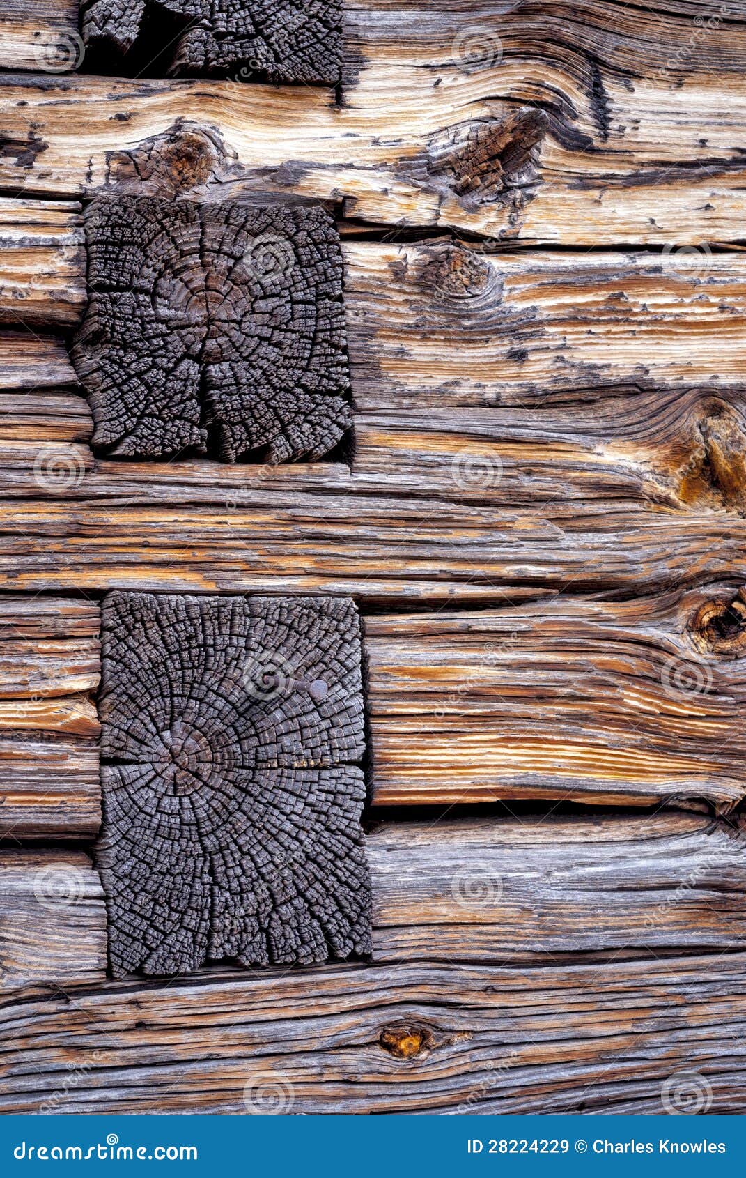 Rustic Log Cabin Architecture Detail Stock Image - Image of yellow ...