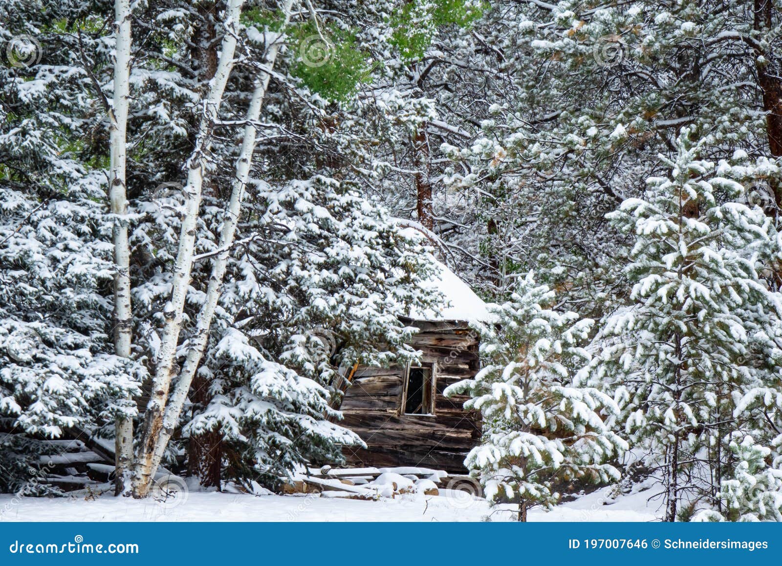 Rustic Log Cabin Hidden in a Snowy Woods Stock Photo - Image of inside ... Rustic Log Cabin Hidden in a Snowy Woods Stock Photo - Image of inside ...