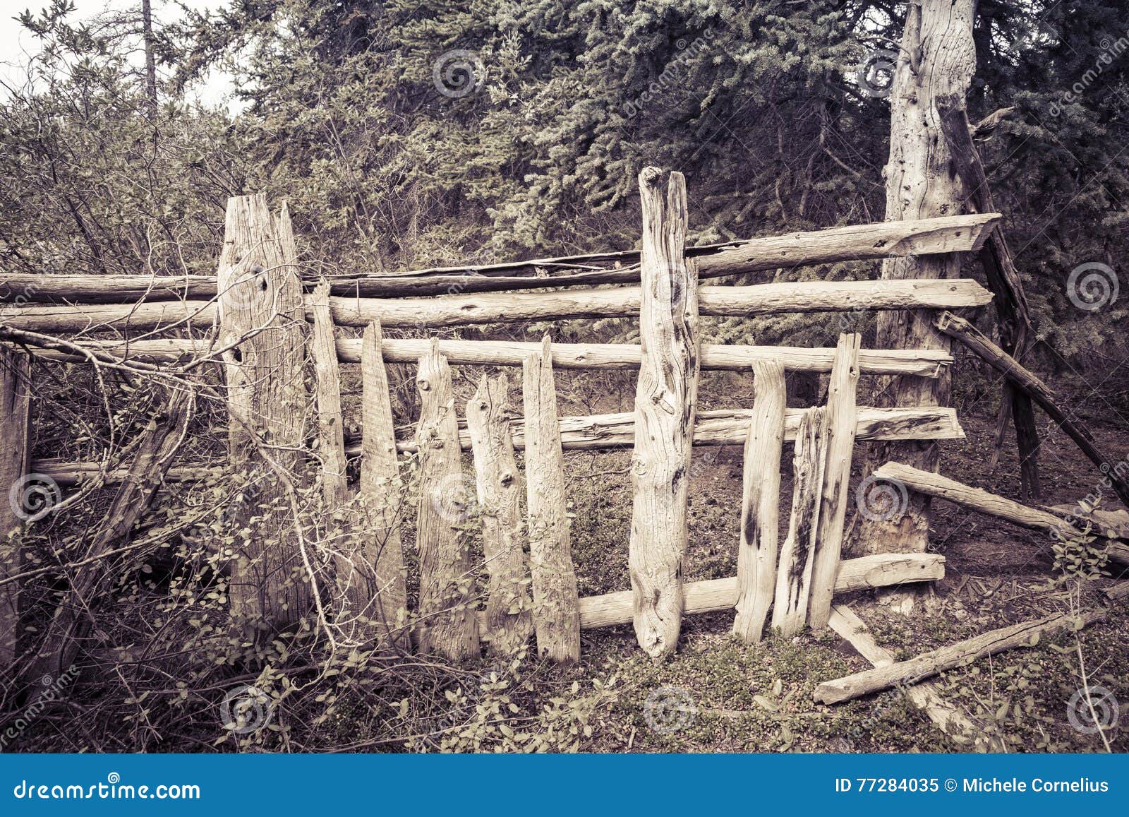 Rustic log fence stock image. Image of rough, gate, country - 77284035