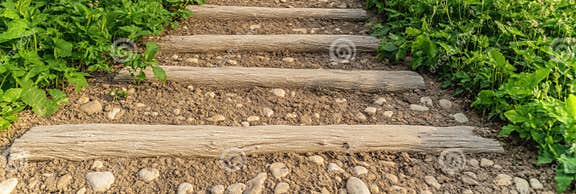 Rustic Log Steps in a Natural Garden Pathway Surrounded by Greenery and ...