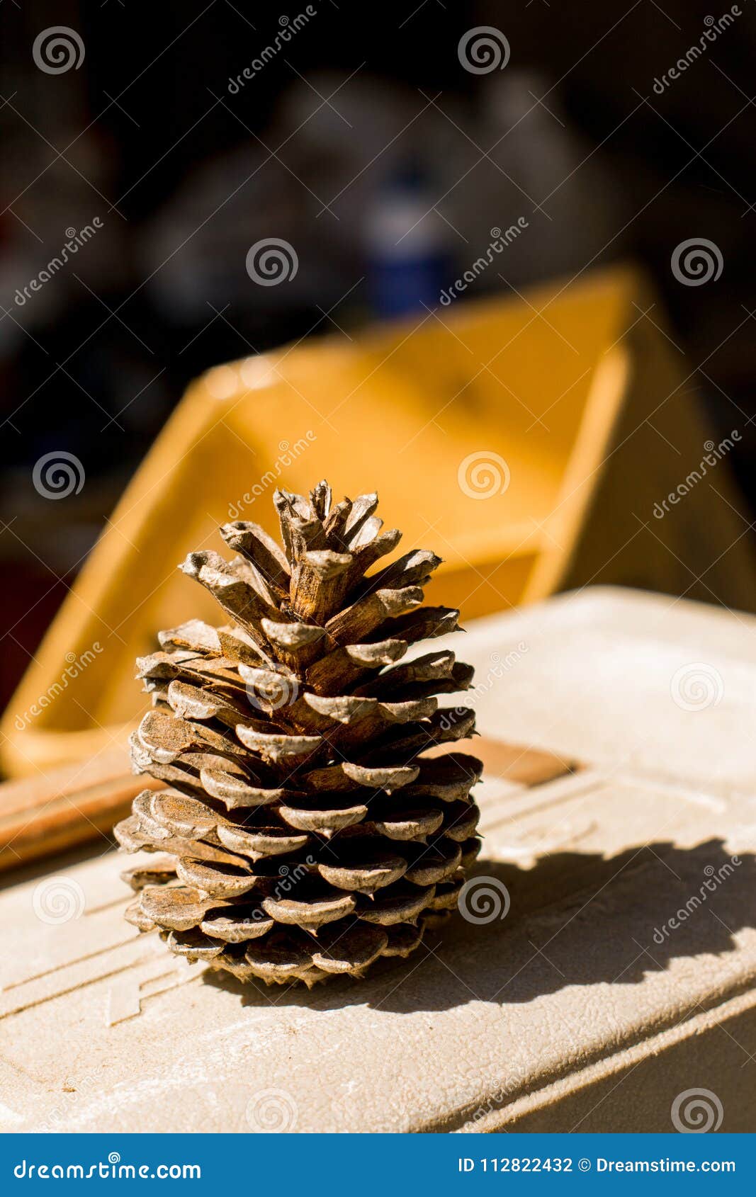 Rustic Pine Cone stock photo. Image of ornament, simple - 112822432