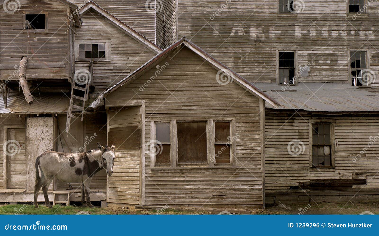 Rustic Mill stock photo. Image of background, architecture - 1239296