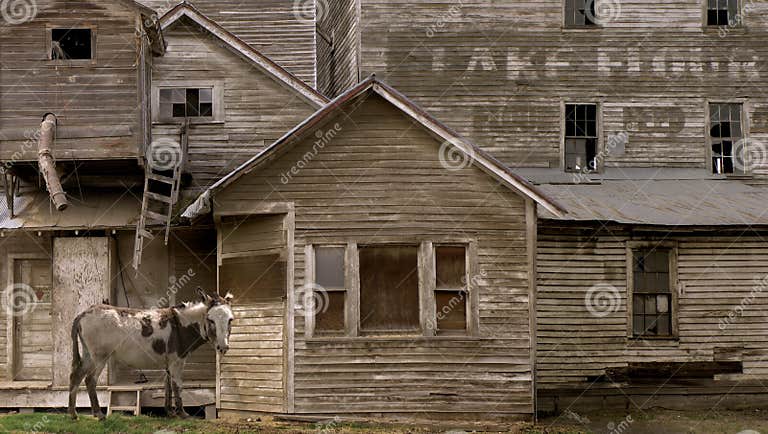 Rustic Mill stock photo. Image of background, architecture - 1239296
