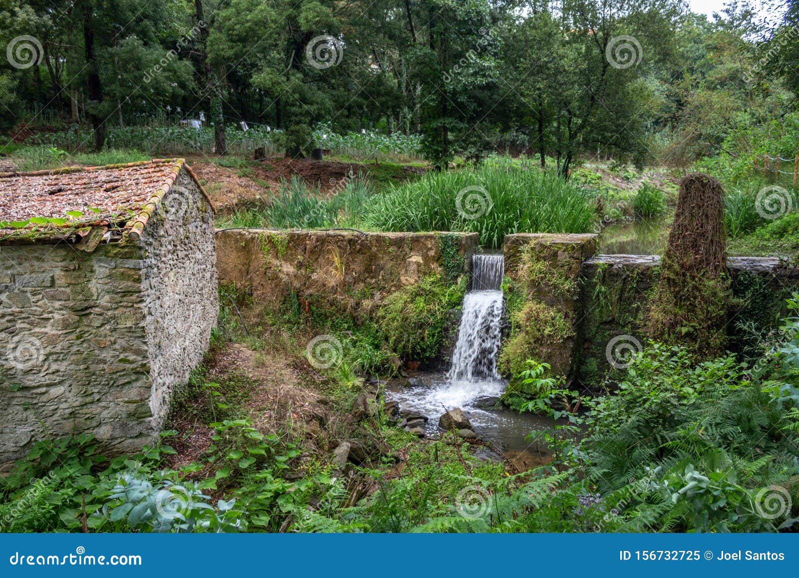 Rustic Mill, Water Stream Used for Agriculture Stock Image - Image of ...
