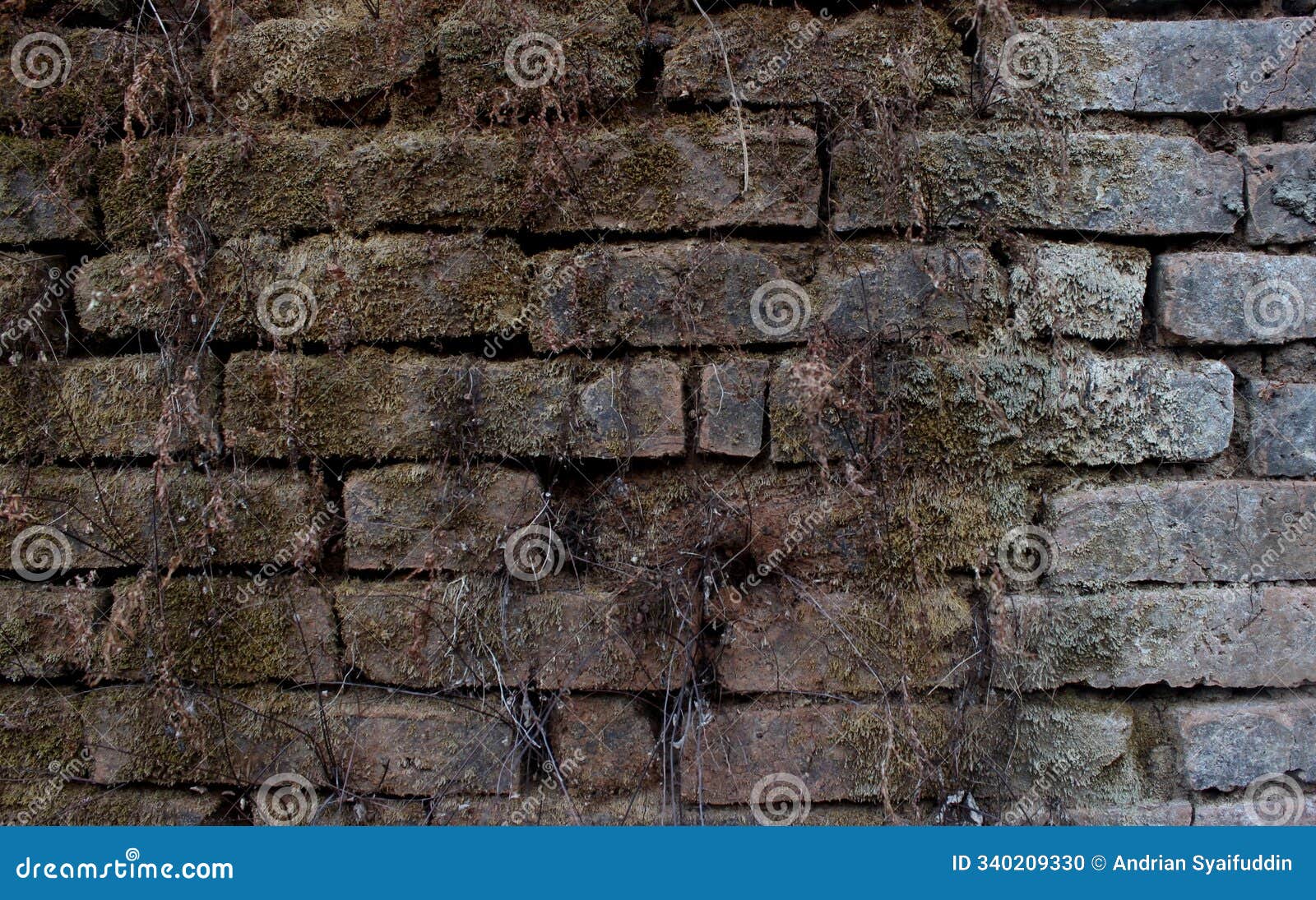 Rustic Moss-Covered Brick Wall with Natural Decay Stock Photo - Image ...