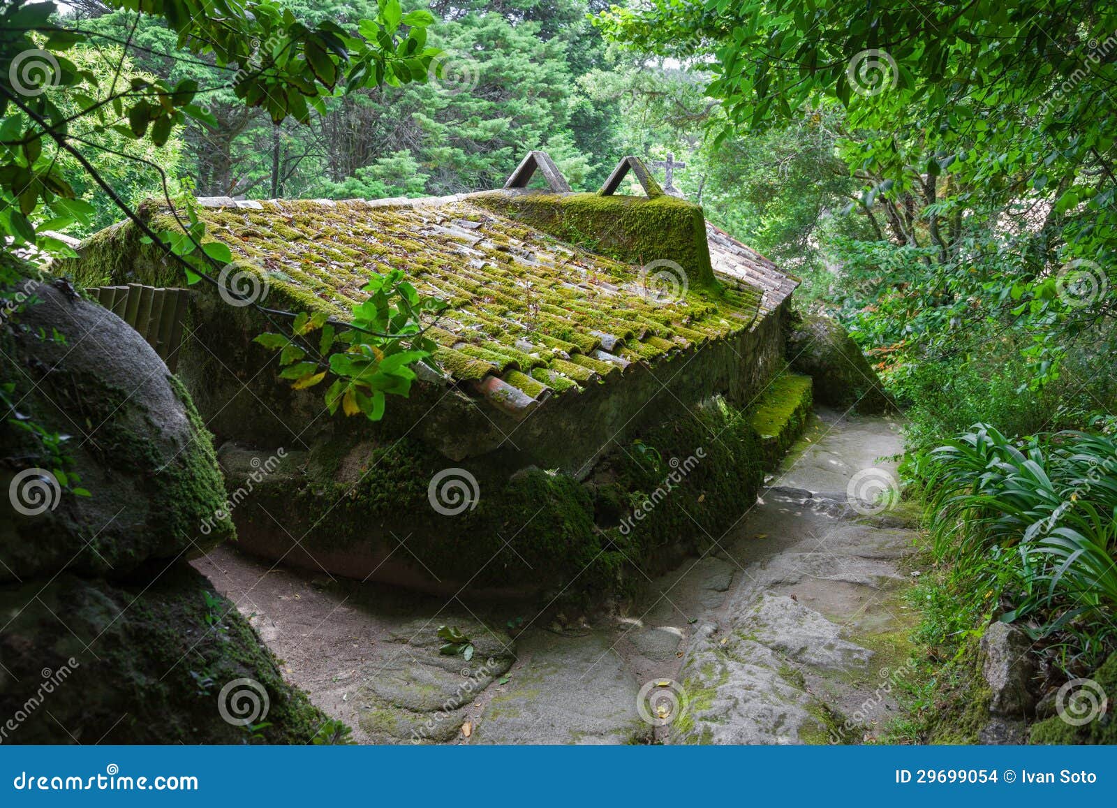 Rustic mossy house stock photo. Image of town, moss, home - 29699054