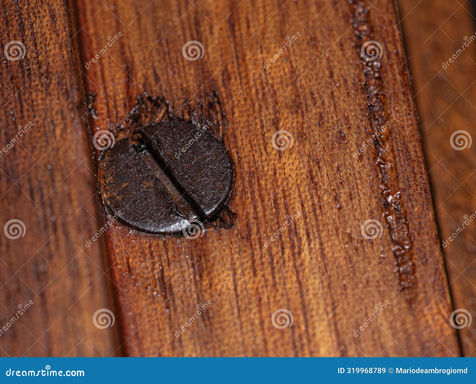 Rustic Nail Embedded in Weathered Wood, Its Aged Surface Telling a ...