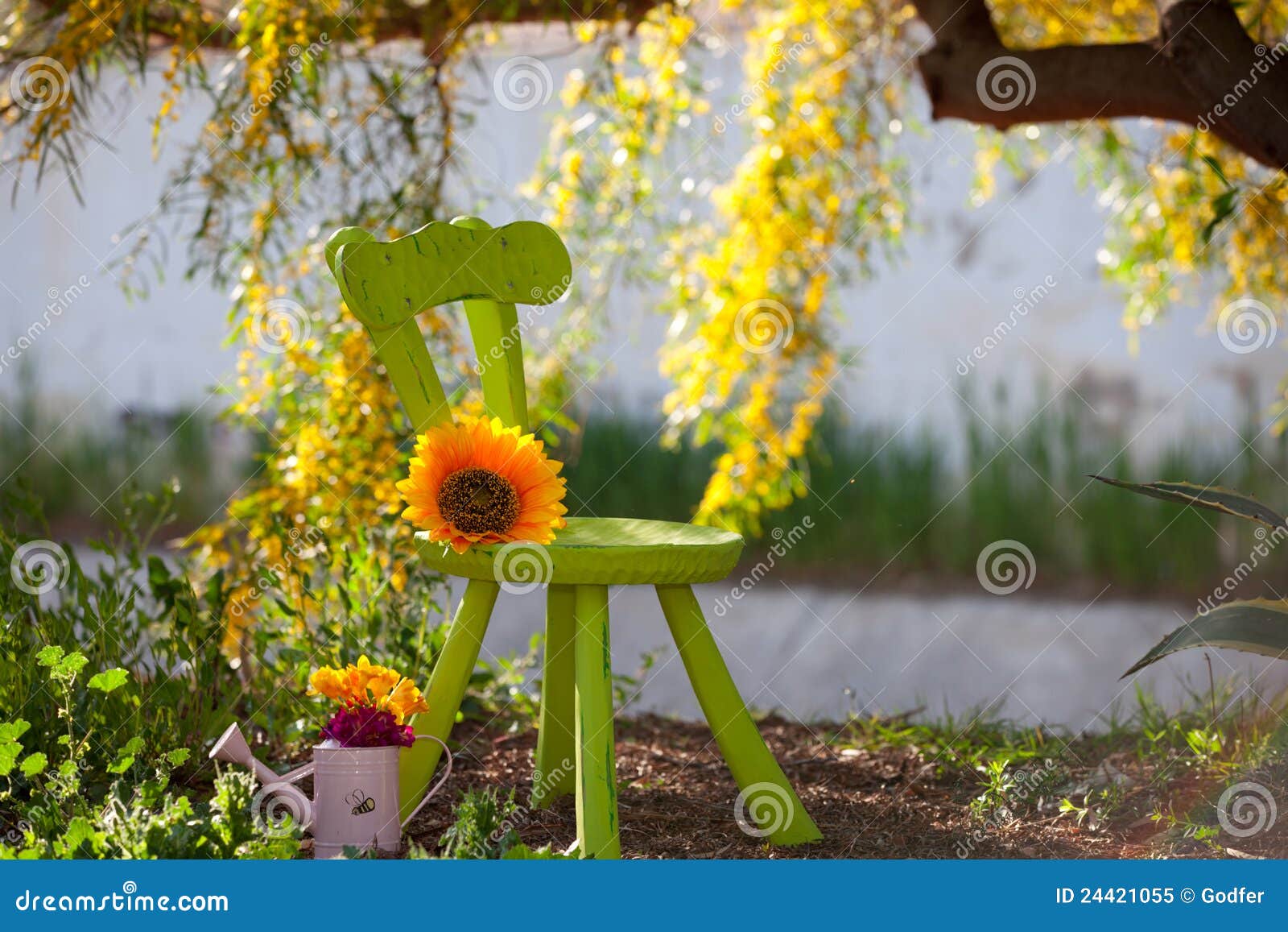 Rustic Nature Royalty-Free Stock Photography | CartoonDealer.com #24421055