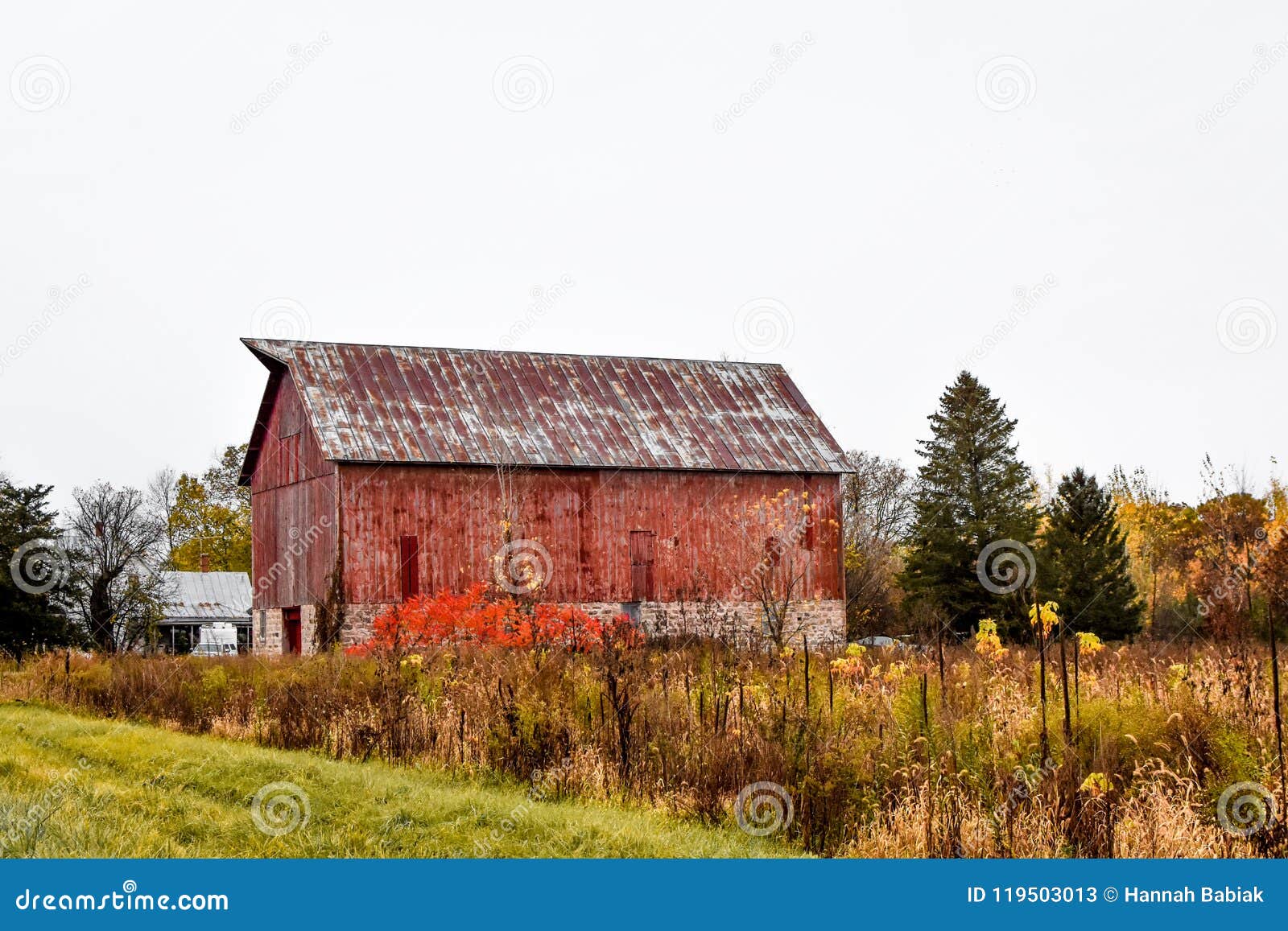 Rustic Old Barn with Field of Fall Colors Stock Image - Image of ...