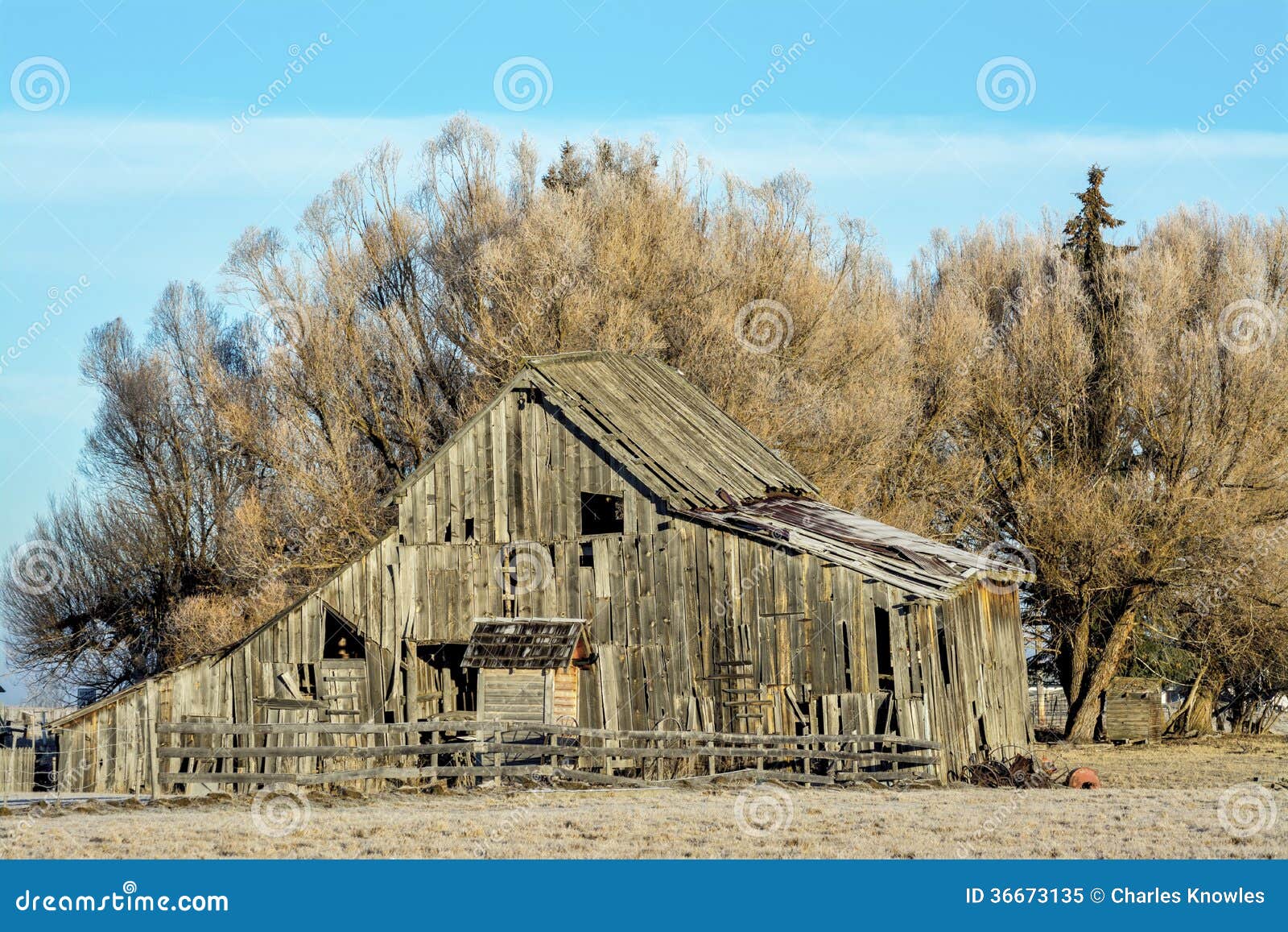Rustic Old Barn with Willow Trees Stock Image - Image of barn, grain ...