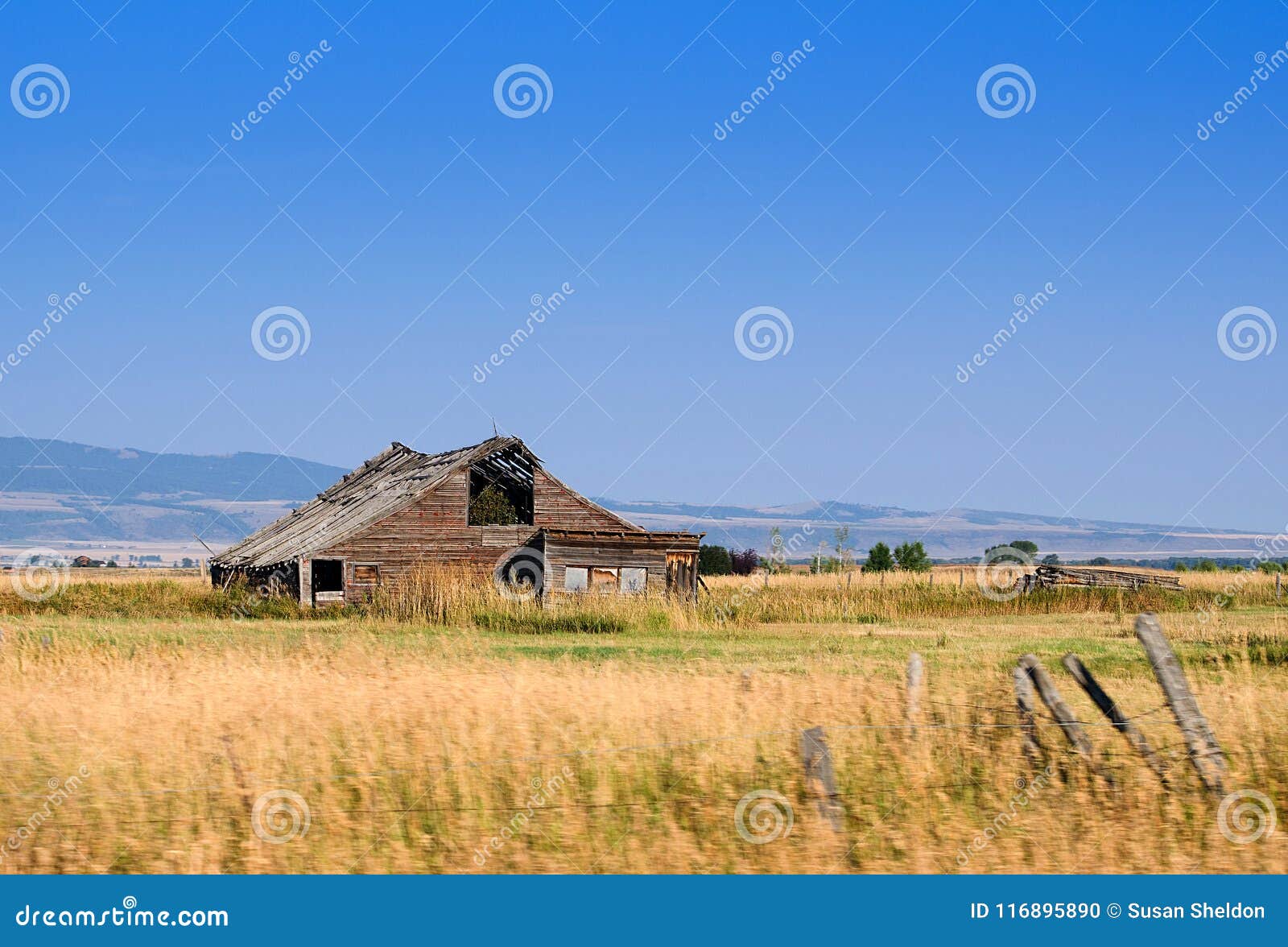 Rustic Old Barn in Wyoming USA Stock Photo - Image of architecture ...