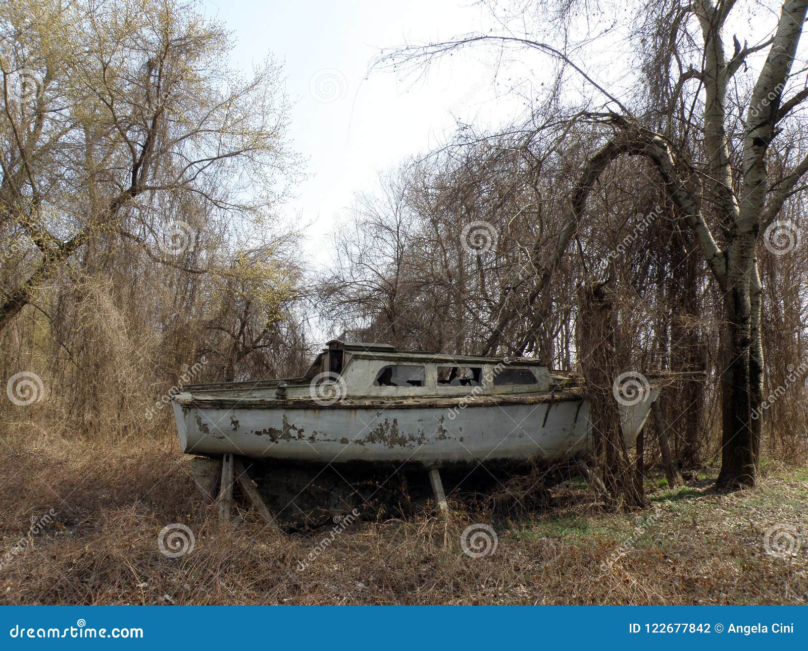 Rustic Old boat with trees stock photo. Image of fall - 122677842