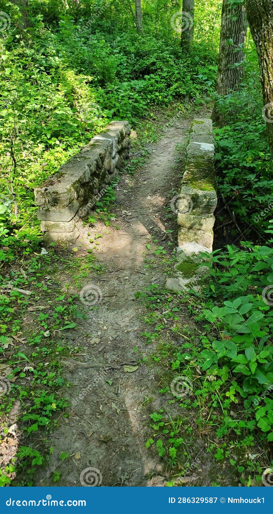A Rustic Old Bridge Over a Creek Stock Image - Image of bridge, rustic ...