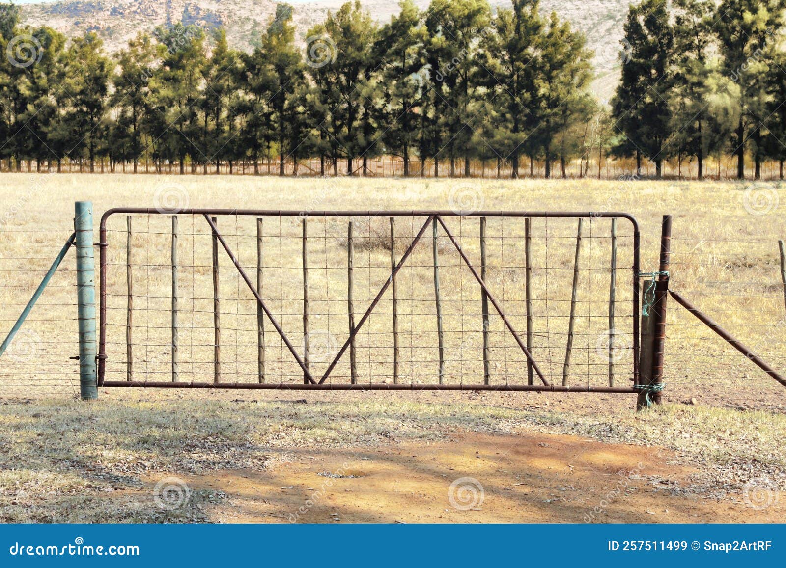 Rustic Old Farm Gate To Open Grass Field Stock Image - Image of vintage ...